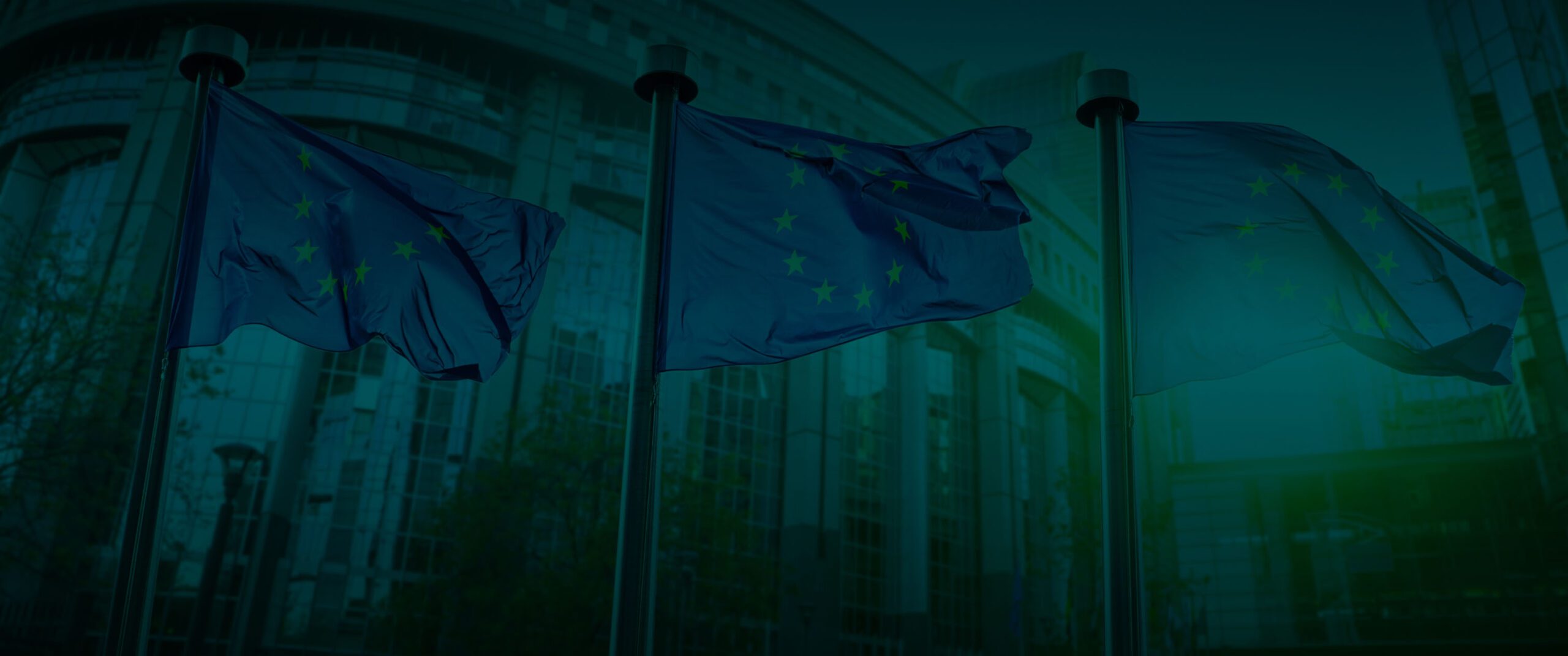 Everything you need to know about the EU Corporate Sustainability ...